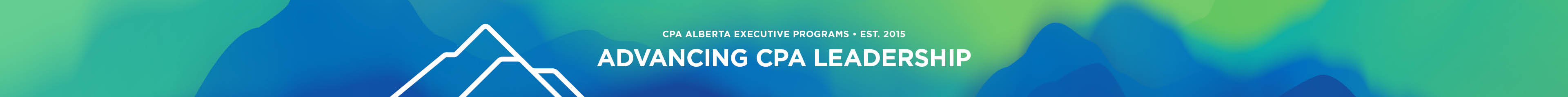 CFOs Executive Program