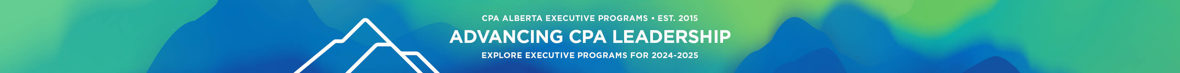 CFOs Executive Program